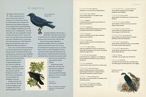 Latin for birdwatchers : Over 3,000 scientific bird names explored and ...