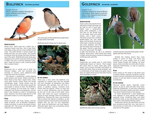 RSPB Handbook of British Birds | Baker & Taylor