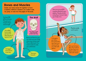 The Human Body Model Book | Baker & Taylor