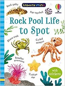 Rock Pool Life to Spot | Baker & Taylor