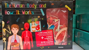 Magnetic Box Human Body | Baker & Taylor