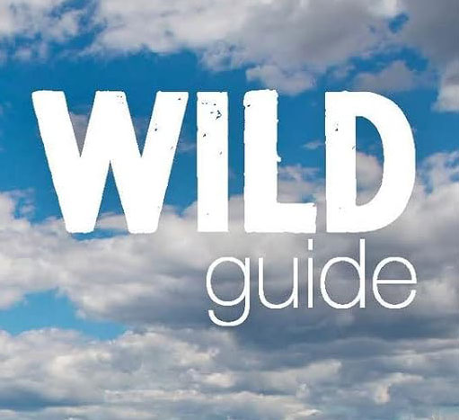 A Journey with Wild Guides Book Series | Baker & Taylor