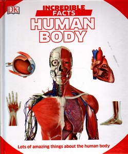 Incredible Facts - Human Body | Baker & Taylor