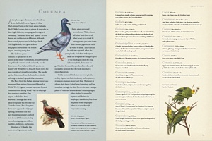 Latin for birdwatchers : Over 3,000 scientific bird names explored and ...