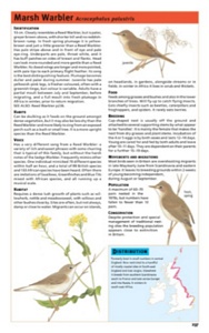 RSPB Handbook of British Birds | Baker & Taylor
