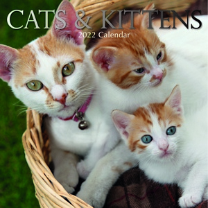 2022 Square Wall Calendar Cats & Kittens | Baker & Taylor