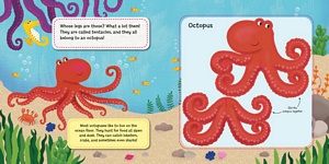 Make and Play Under the Sea | Baker & Taylor
