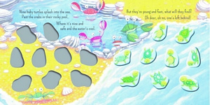 Ten Tiny Turtles | Baker & Taylor