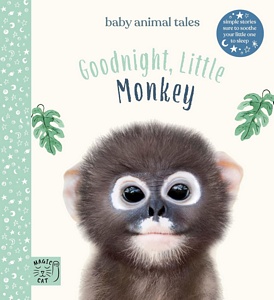Goodnight, Little Monkey | Baker & Taylor